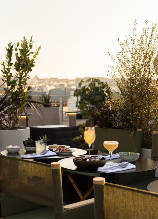 Le rooftop | Hotel Dame des Arts | Rive Gauche